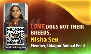 Nisha Sen, Member at Udaipur Animal Feed, Udaipur